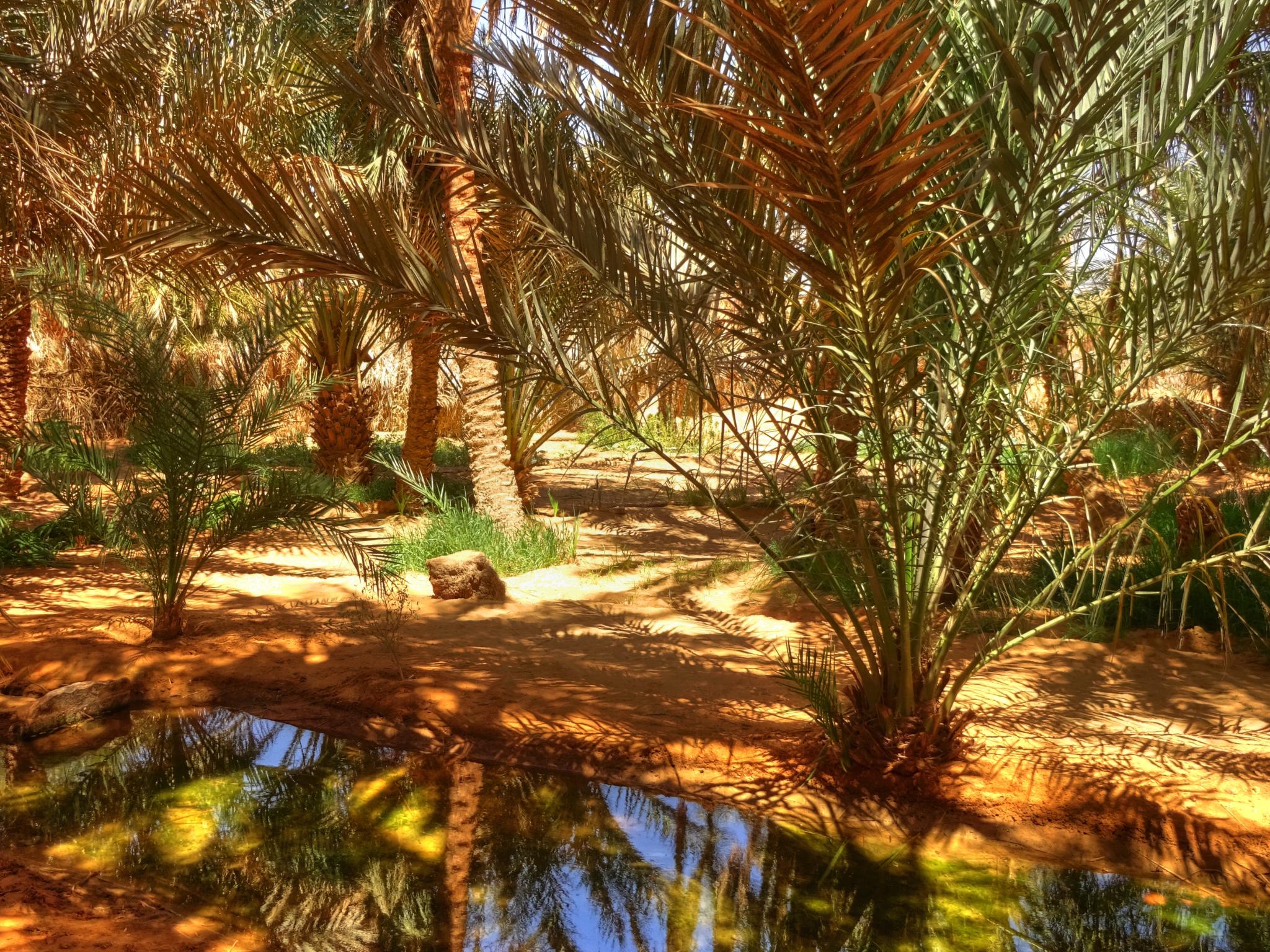 Kom på stor rundrejse i Algeriet - med ekspedition i Sahara