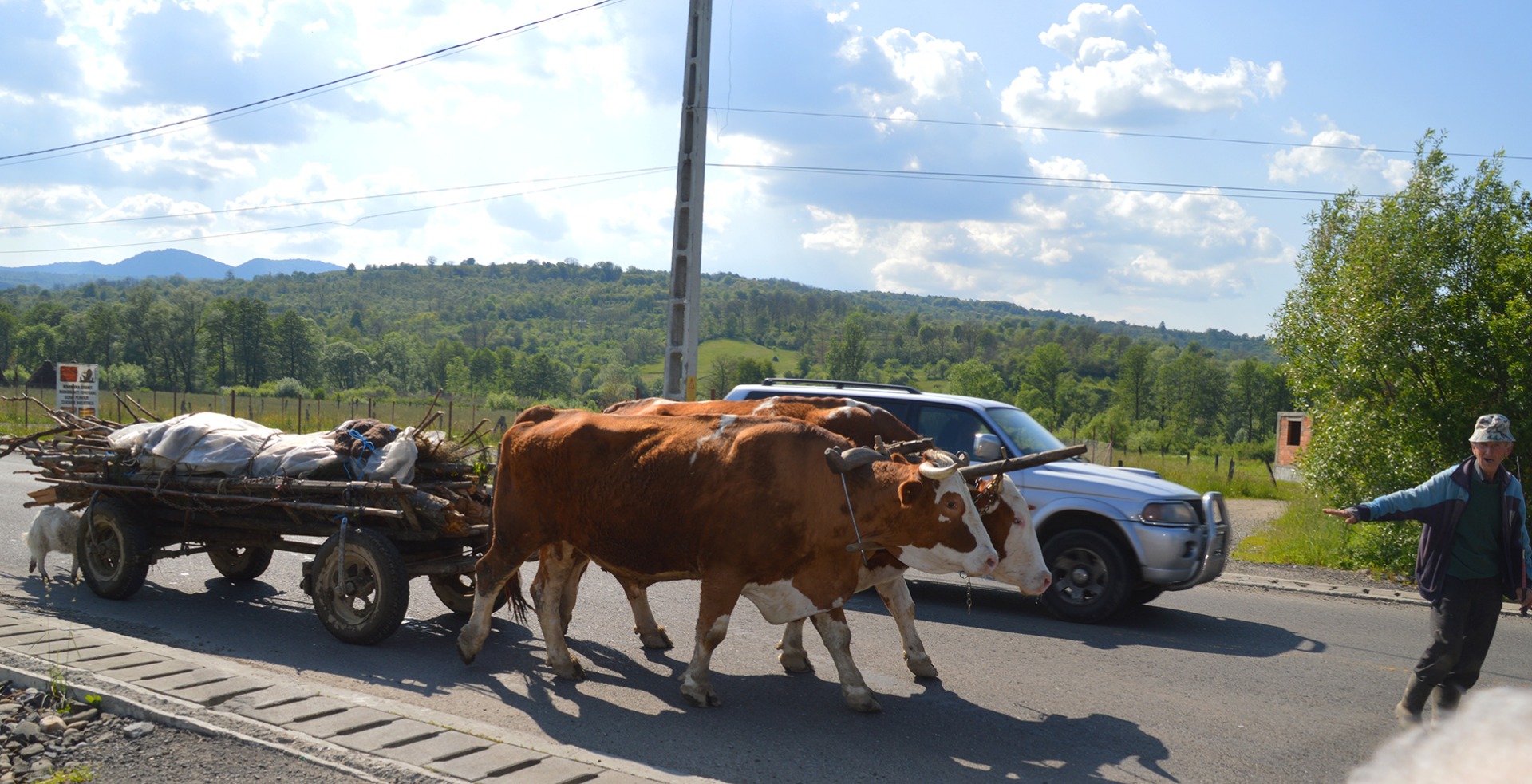Rejs til Rumænien med Transsylvanien og Bukovina